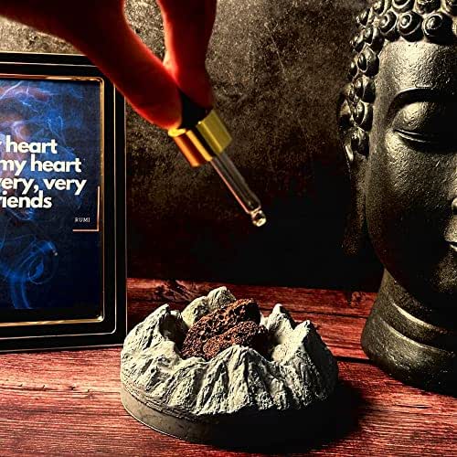 Amazon.com: Artisans Volcanic Lava Stone Diffuser | Therapeutic ...