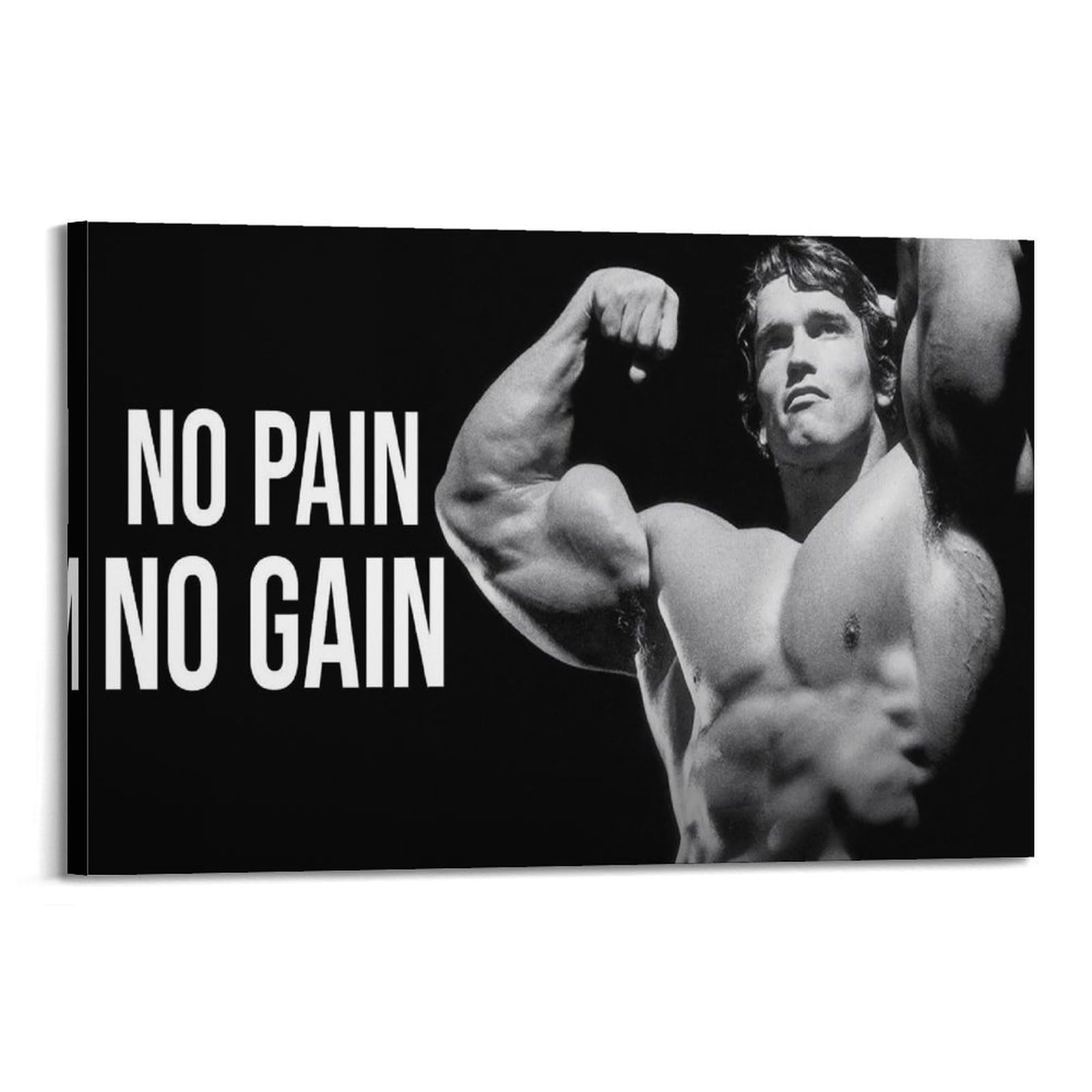 No Pain No Gain Arnold Schwarzenegger Amazon.de: KFMD Fitness Poster,