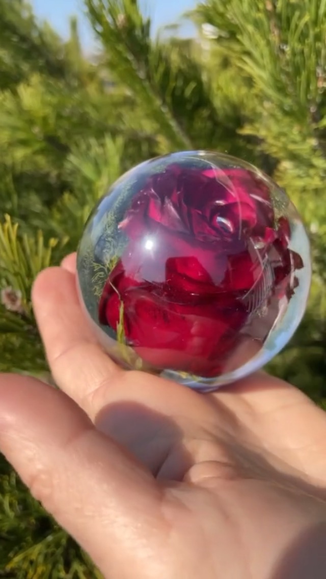 Watch Red rose encased in resin on Amazon Live