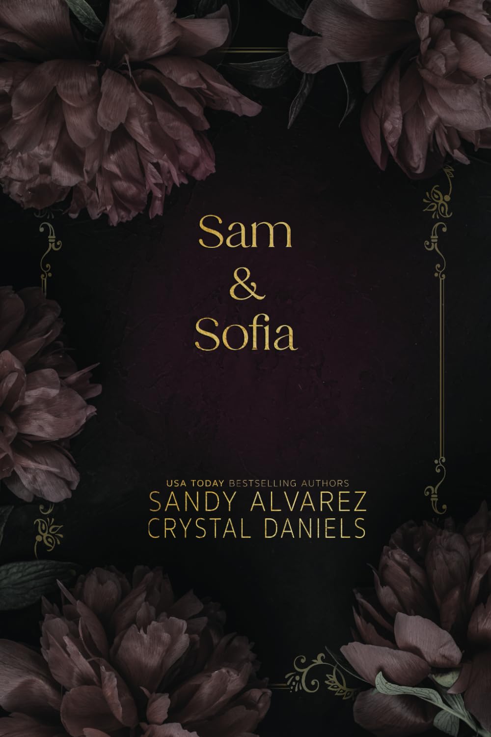 Sam & Sofia: Kings of Retribution MC (Discreet Series) (Kings of ...