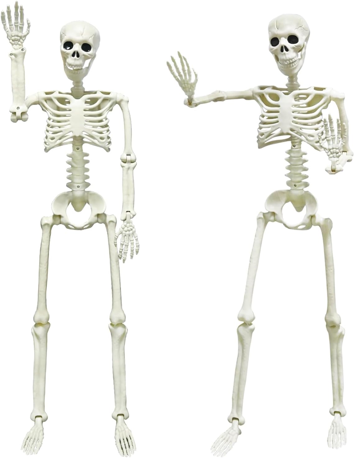 Amazon.com: UMEELR 5.9FT Full Size Skeleton, Life Size Poseable ...
