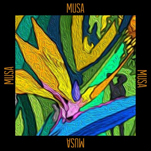 Play Musa by VARIOUS ARTISTS on Amazon Music