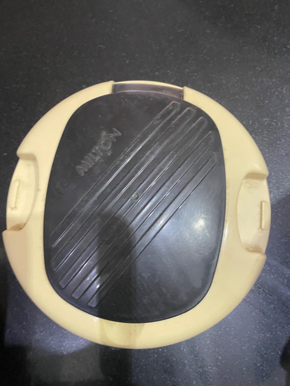 Buy Milton Electron Stainless Steel Electric Lunch Box (3 Containers ...