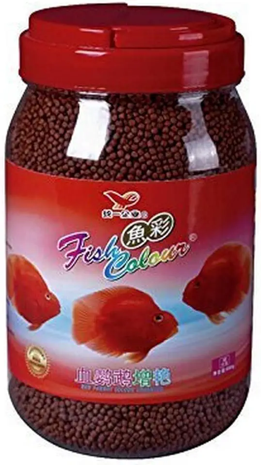 The Safety Of Consuming Parrot Fish: What You Need To Know | PetShun