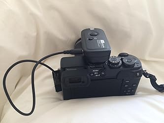 Pixel RW-221/L1 Wireless Shutter Remote with RS1 Type Terminal for Panasonic DSLR: Amazon.co.uk ...