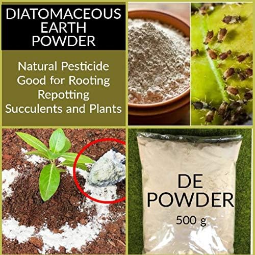 500 Grams Gamazine Powder for Pest Control,Ant Killer, and Repellent ...