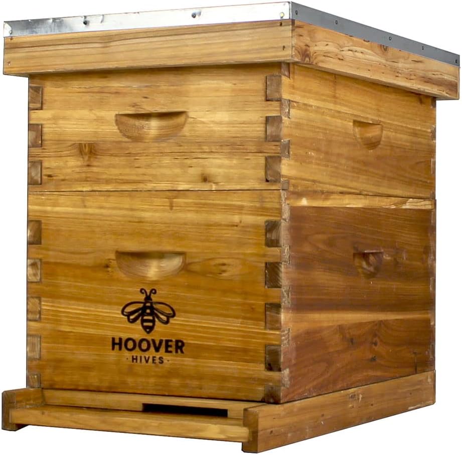 Amazon.com : Hoover Hives 8 Frame Langstroth Beehive Dipped in 100% ...