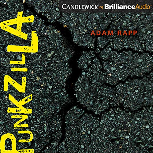 Amazon.com: Punkzilla (Audible Audio Edition): Adam Rapp, Matthew ...