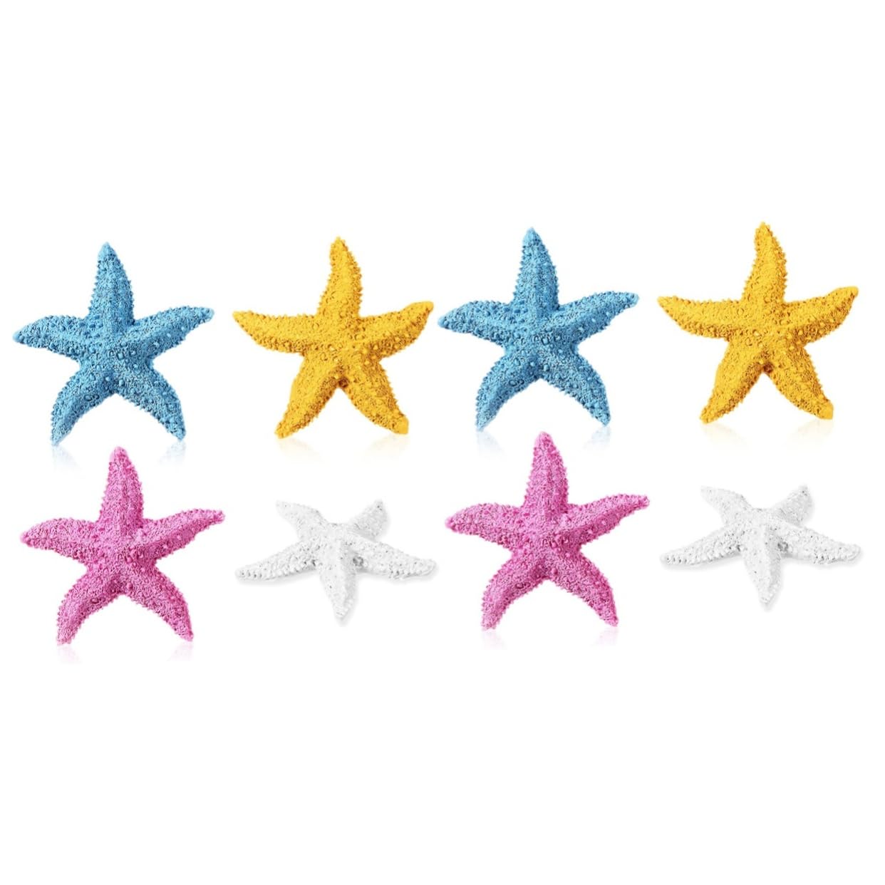 Bunte Seesterne Bunte Weihnachtssterne Im Zoo Basel