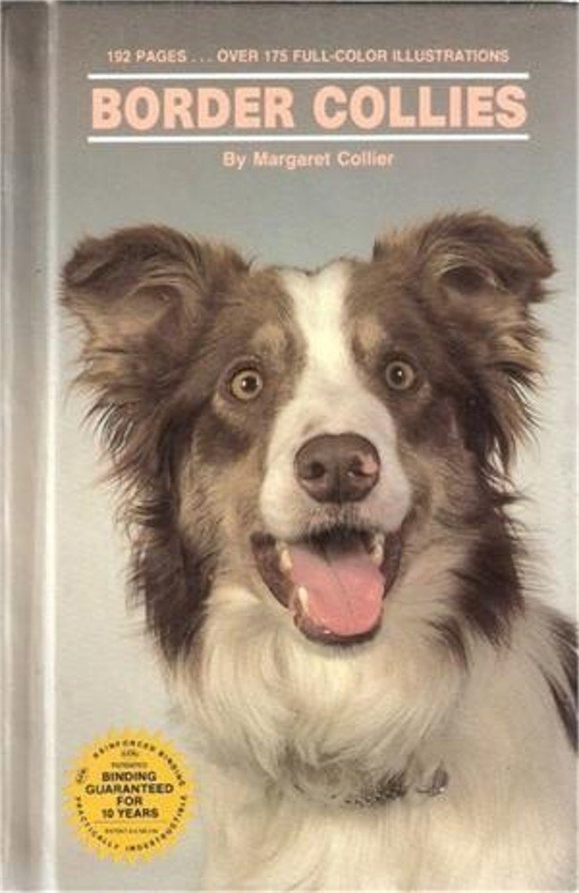 Border Collies: Collier, Margaret: 9780866227773: Amazon.com: Books