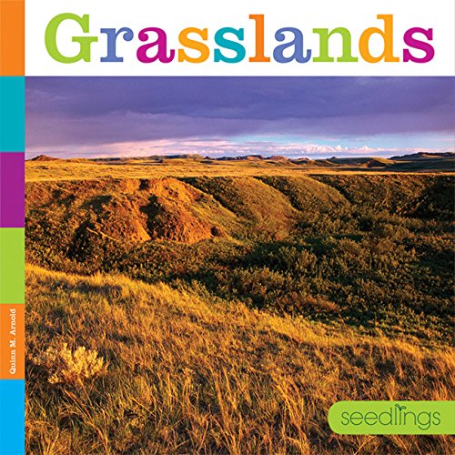 Grasslands (Seedlings): Arnold, Quinn M.: 9781628323498: Amazon.com: Books