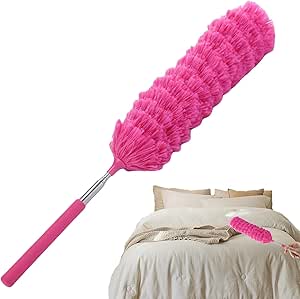 Amazon.com: EsEico Hand Hold Dust Brush, Extendable Hand Dusters ...