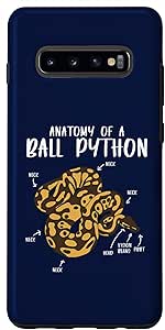Amazon.com: Galaxy S10+ ANATOMY OF BALL PYTHONS, I LOVE MY ALBINO BALL ...