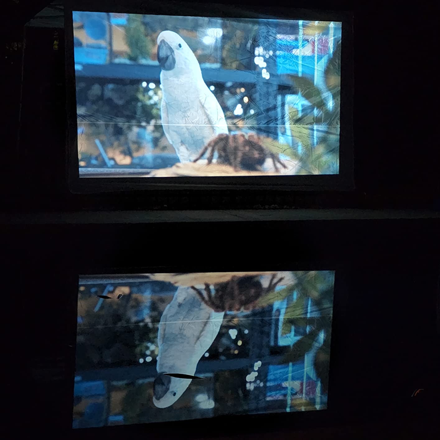 $32/mo - Finance Native 1080P WiFi Bluetooth Projector, MOOKA Upgraded ...