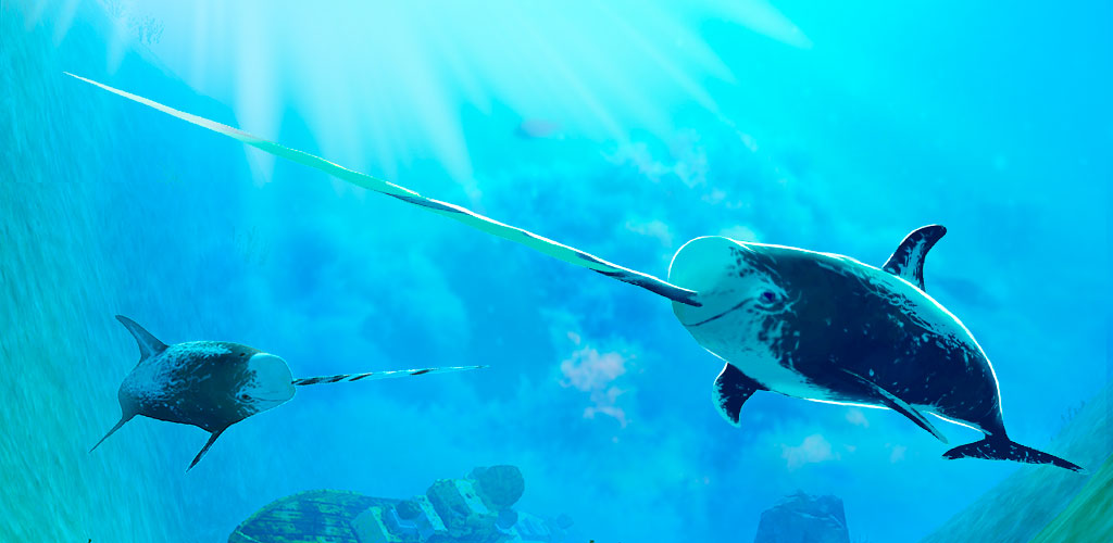 Narwhal Life Simulator 3D:Amazon.co.uk:Appstore for Android
