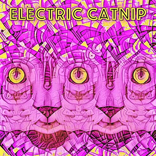 Amazon.com: Electric Catnip : Electric Catnip: Digital Music
