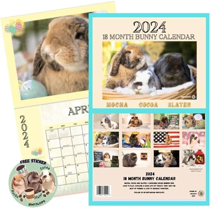 Amazon.com: My3Lops Bunny Calendar 2024-2025 18 Month Wall Calendar ...