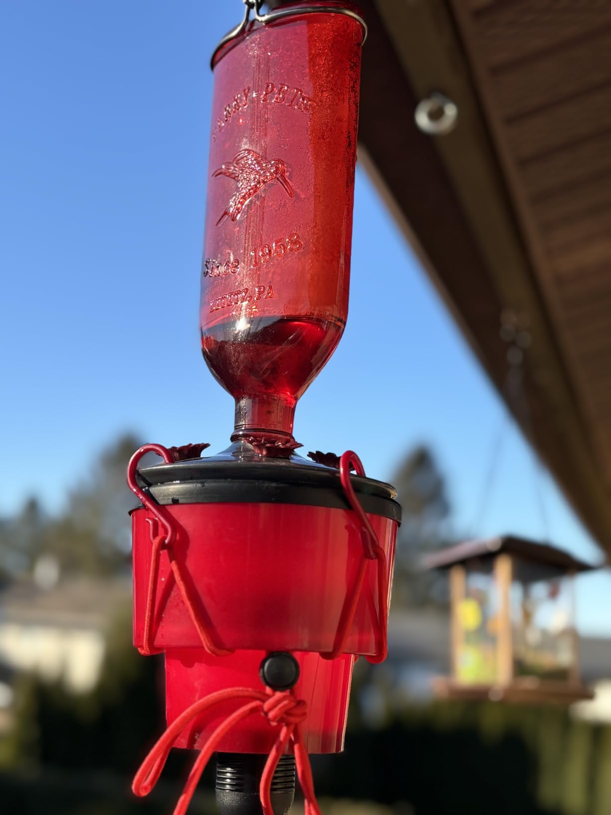 Hummingbird Feeder Heater, Heated Hummingbird Feeders for Outdoors ...