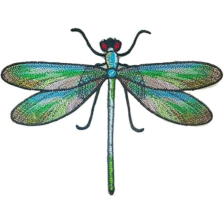 Amazon.com: Embroidery Dragonfly Patch for Clothing Sewing on Applique ...