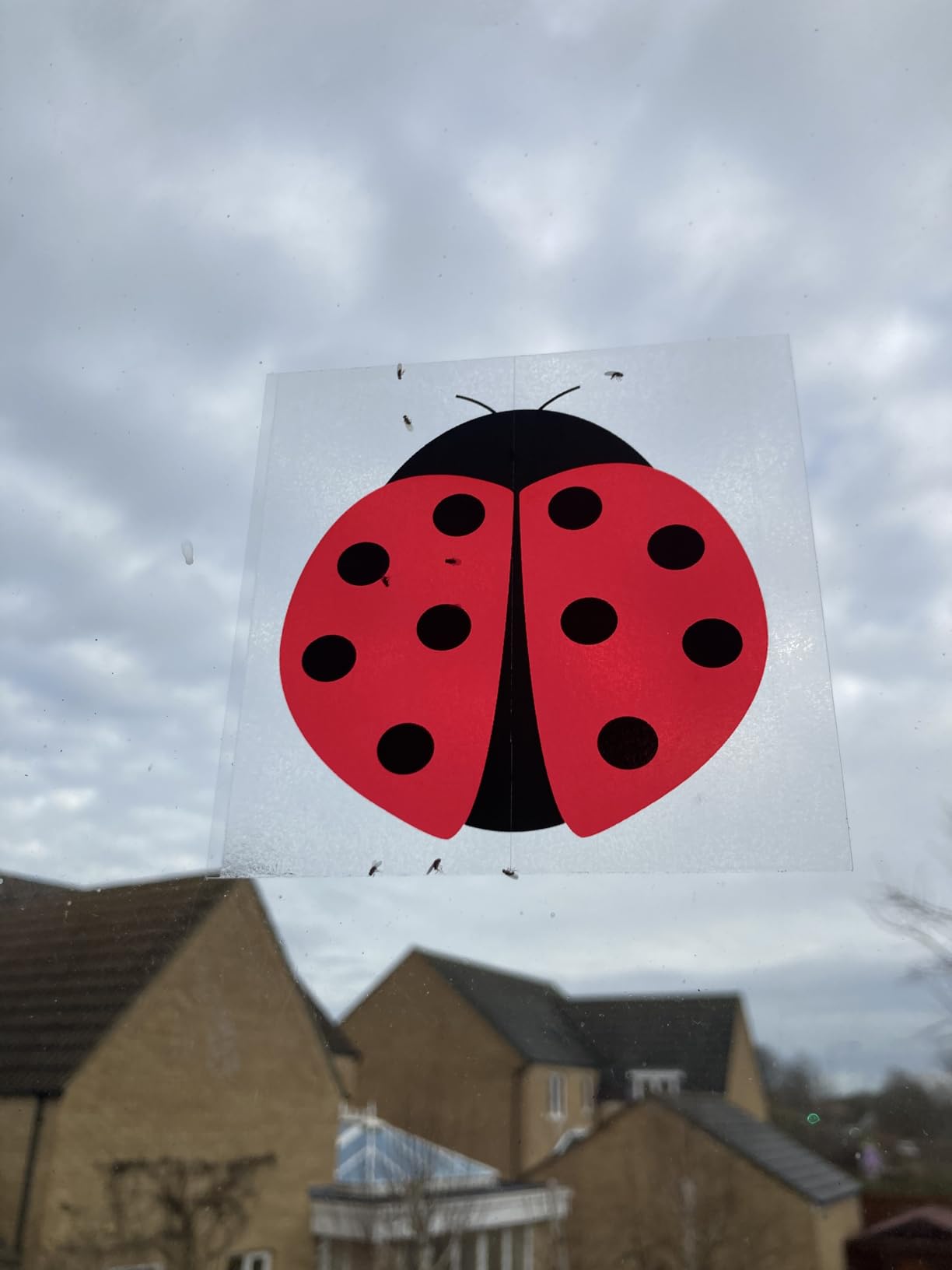 30PCS Fly Stickers for Windows, Fly Sticky Traps Fly Killer Catcher ...