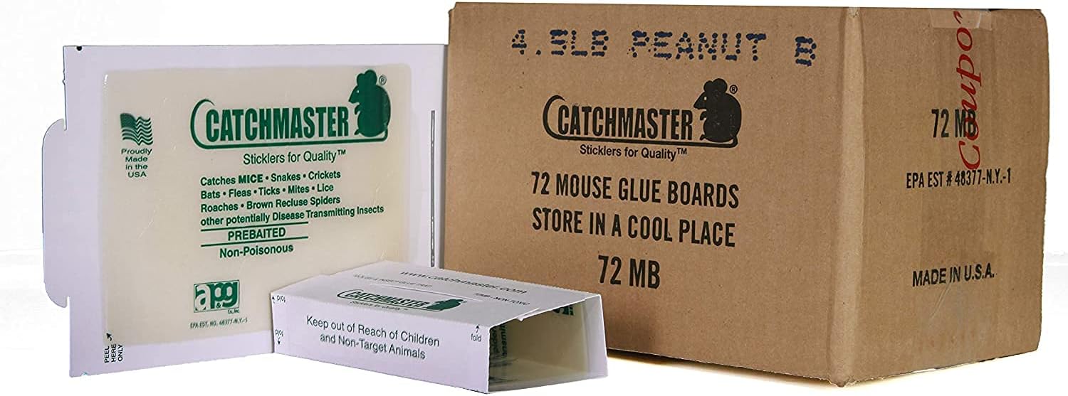 Amazon.com : 72 Catchmaster Mouse Insect Glue Boards 72mb Mice Roach ...
