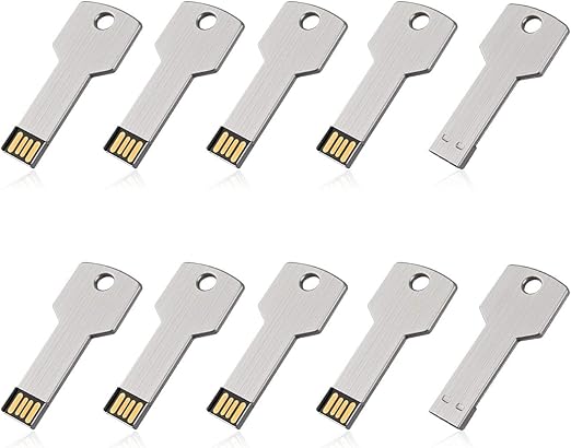 Amazon.com: RAOYI 10 Pack 2GB USB Flash Drive USB 2.0 Metal Key Shape ...