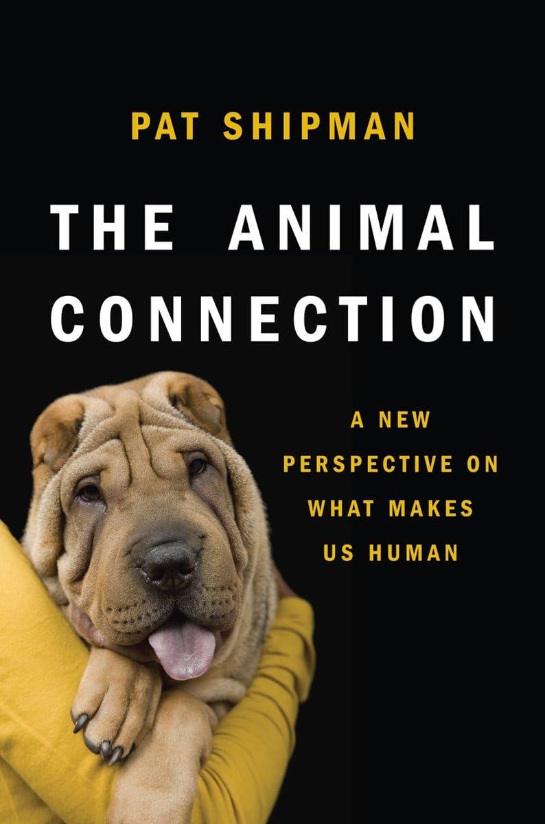 The Animal Connection: A New Perspective on What Makes Us Human ...