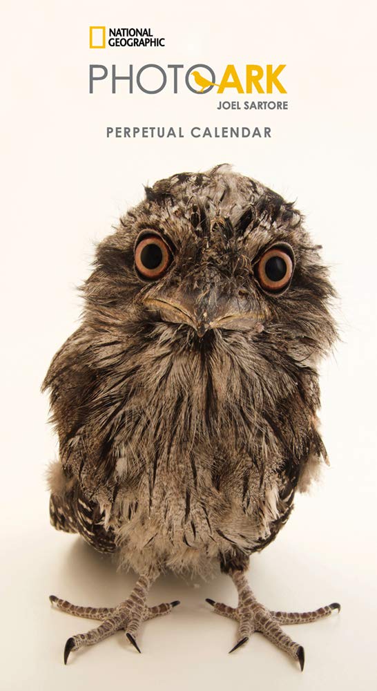 National Geographic Photo Ark Perpetual Calendar (2020 version): Zebra ...