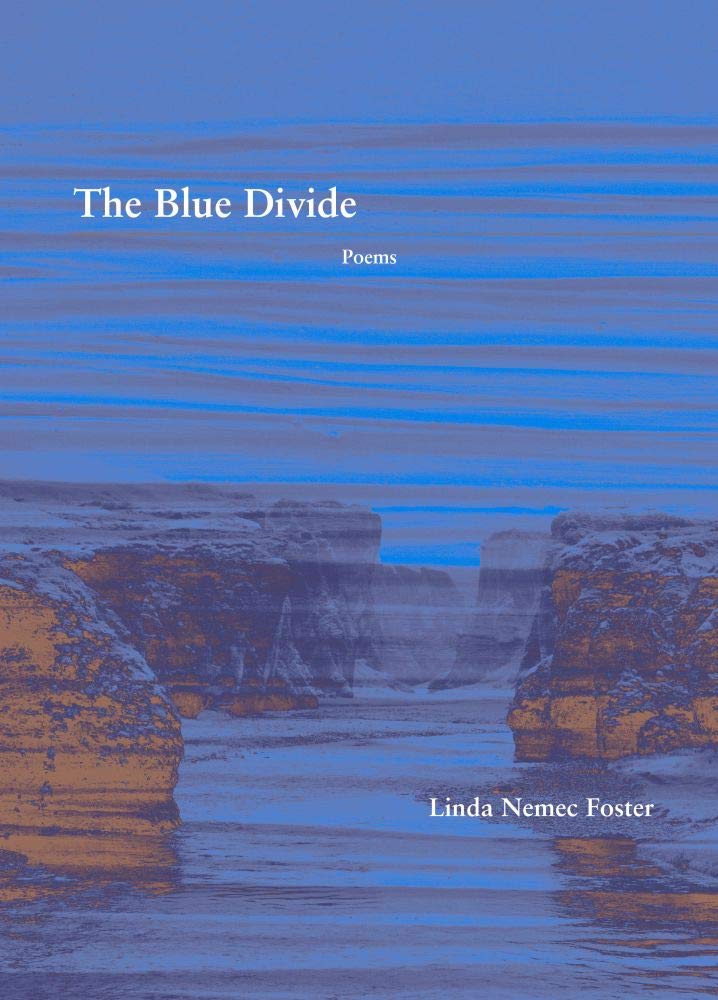 Amazon.com: The Blue Divide: Poems: 9781936970728: Foster, Linda Nemec ...