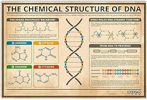 Amazon.com: Dna Infographics Metal Signs Wall Decor Aluminium Poster ...