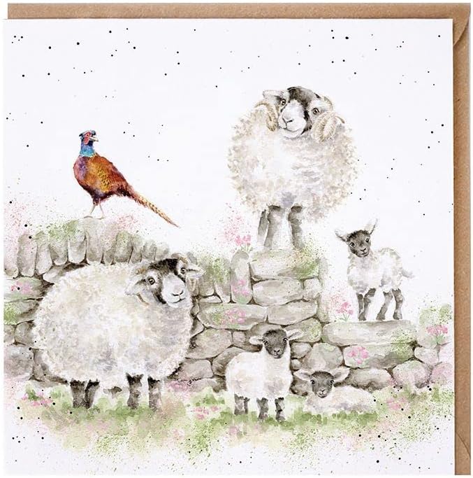 Wrendale Designs - 'Green Pastures' Card : Amazon.co.uk: Stationery ...