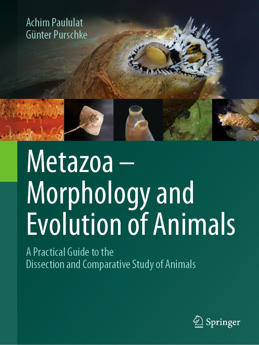 Metazoa – Morphology and Evolution of Animals: A Practical Guide to the ...