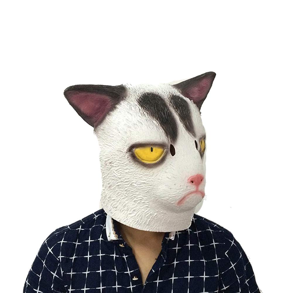 Angry Cats In Halloween Costumes