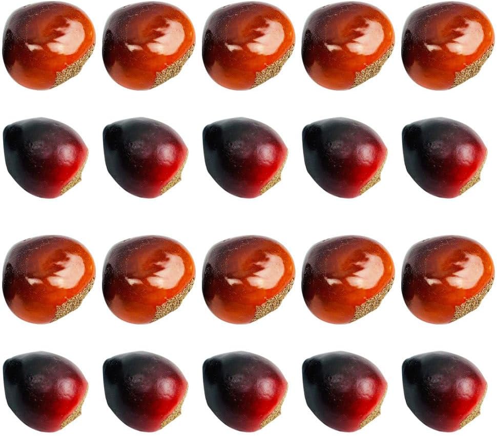Amazon.com: ULTNICE 20pcs Artificial Chestnut Lifelike Faux Fake Nuts ...