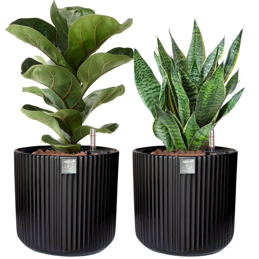 Amazon.com: Set of 2 Handmade Ceramic Self-Watering Planters | 9-Inch ...