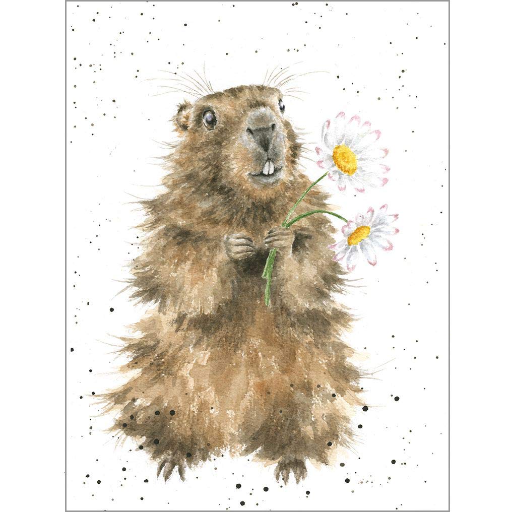 Amazon.com : Wrendale Designs Greeting Card - THE FIRST DATE (Beaver ...