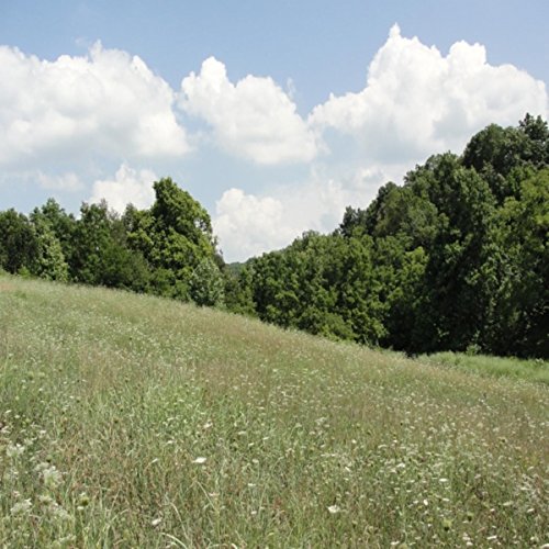 Play If You're Leavin' Tennessee by Dane Hinkle on Amazon Music