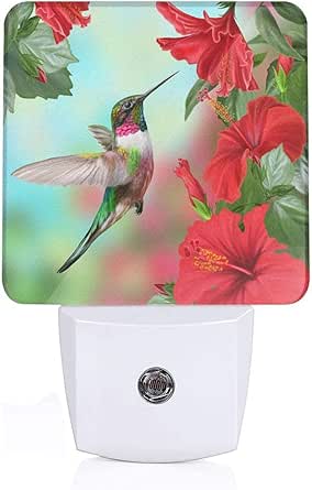 GLOVET Hummingbird Led Night Light Lamp with Auto Dusk to Dawn Sensor ...