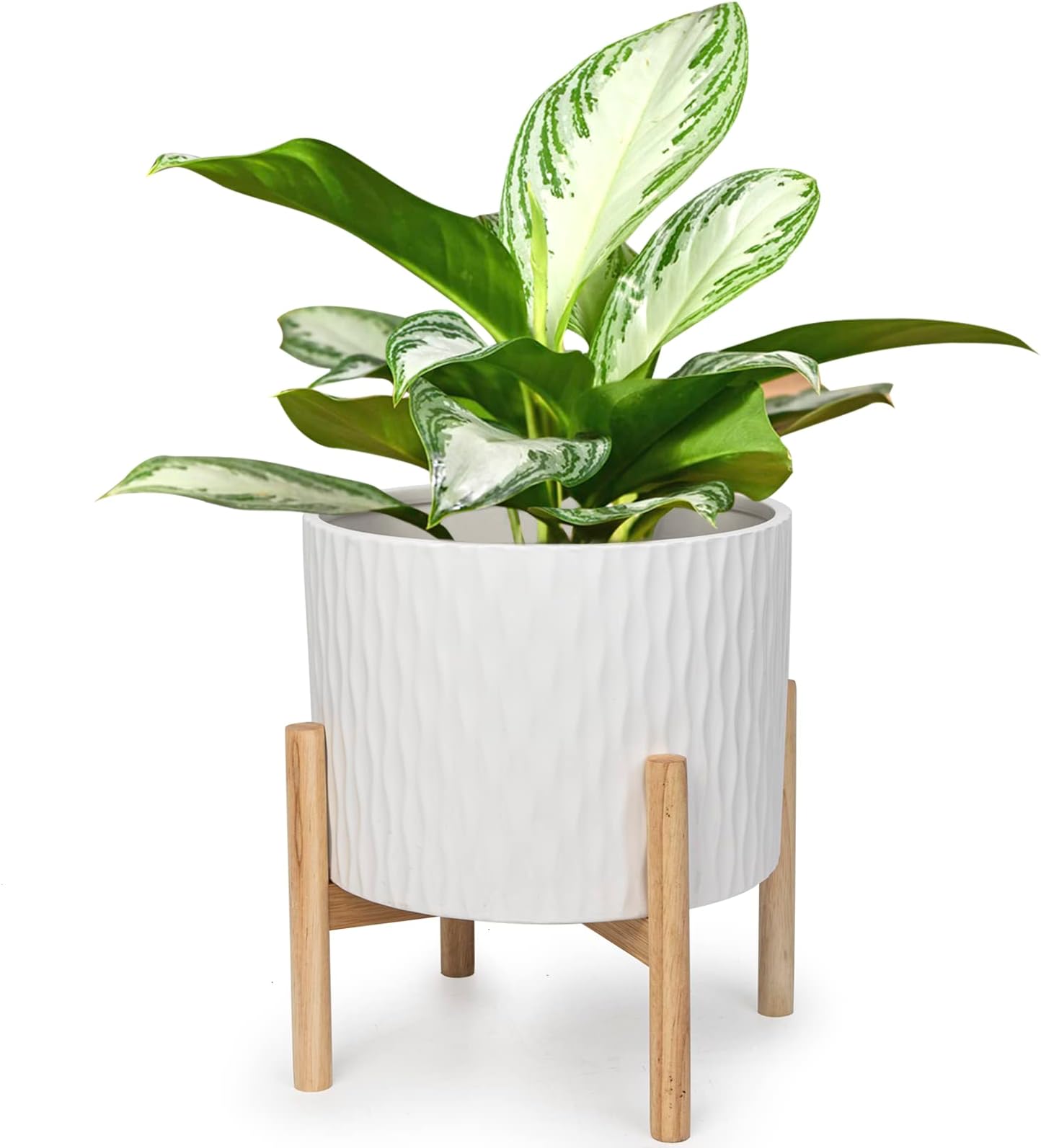 Amazon.com: Venuma Mid Century Pot with Walnut Wood Stand - 12 inch ...