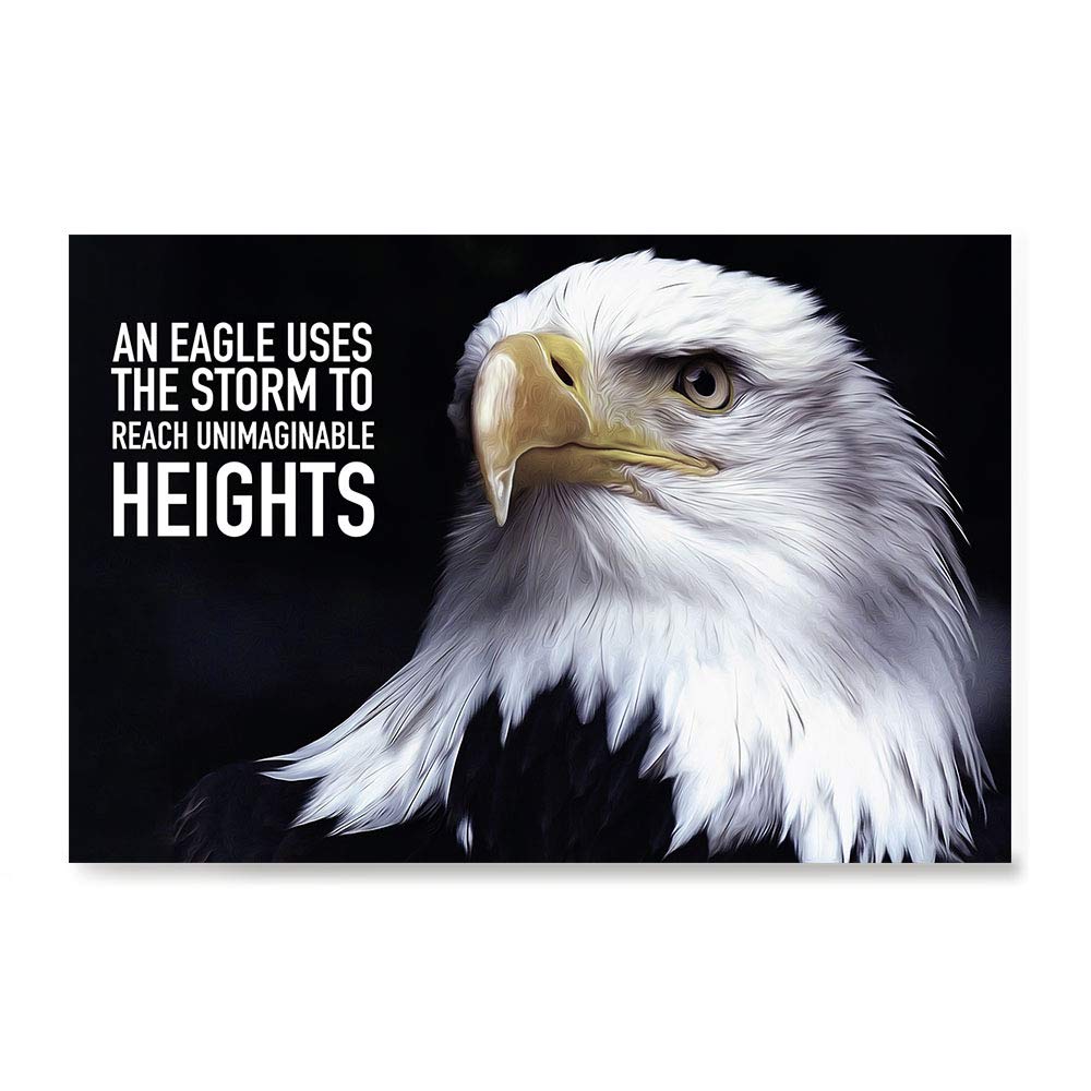 Amazon.com: EzPosterPrints - Most Popular Eagle Theme Quote Posters ...
