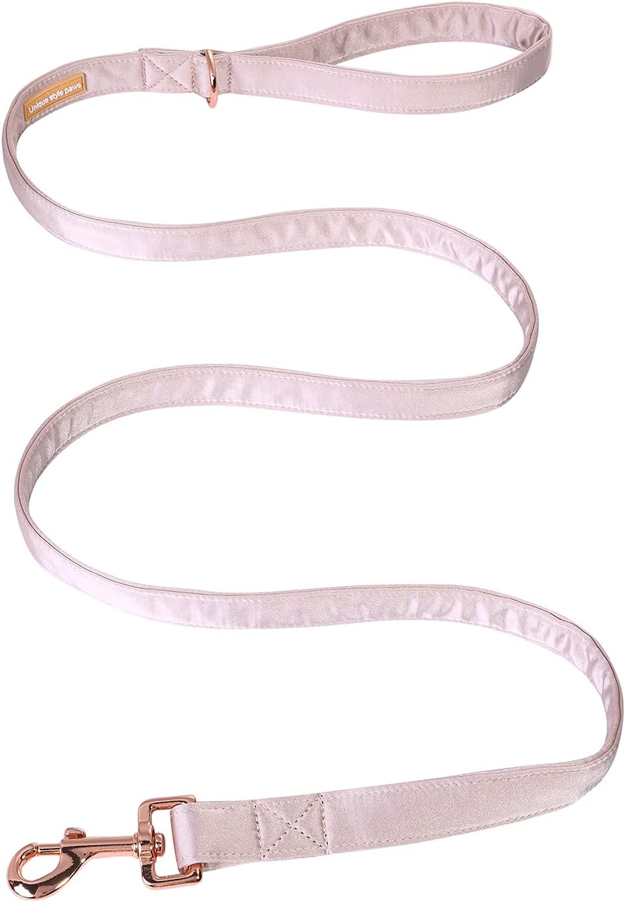 Amazon.com : Unique Stlye Paws Strong Dog Leash with Soft & Comfortabel ...