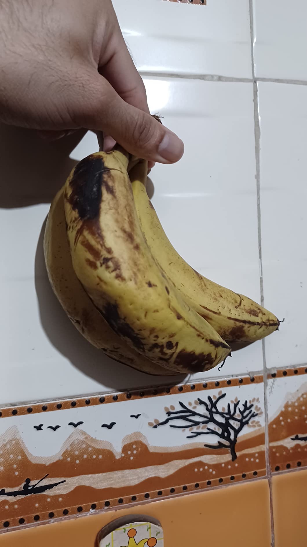 Fresh Premium Banana Robusta, 1 kg : Amazon.in: Grocery & Gourmet Foods