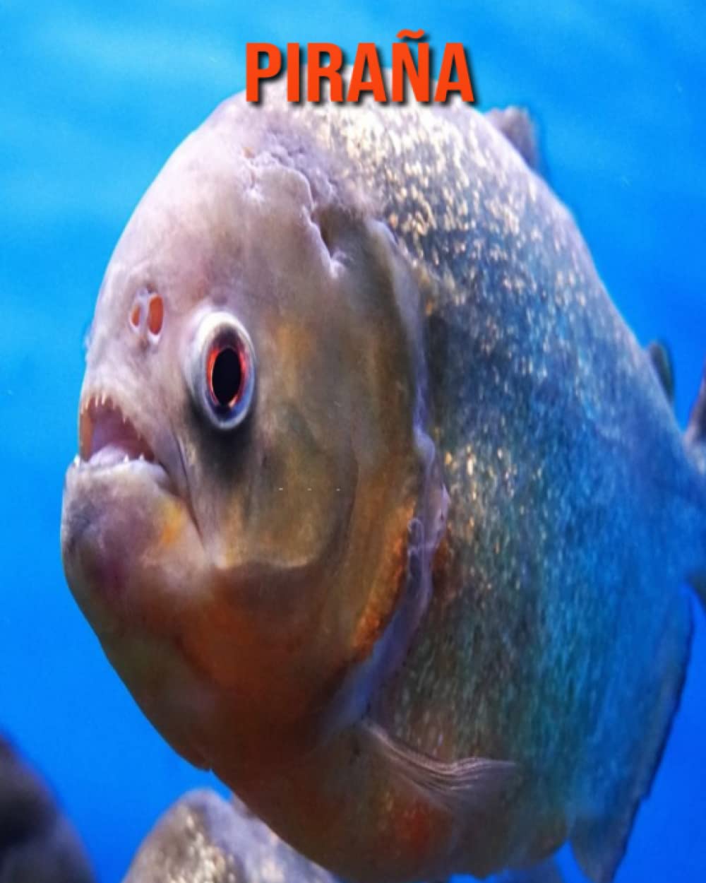 Buy Piraña: Libro para niños con imágenes asombrosas y datos curiosos ...