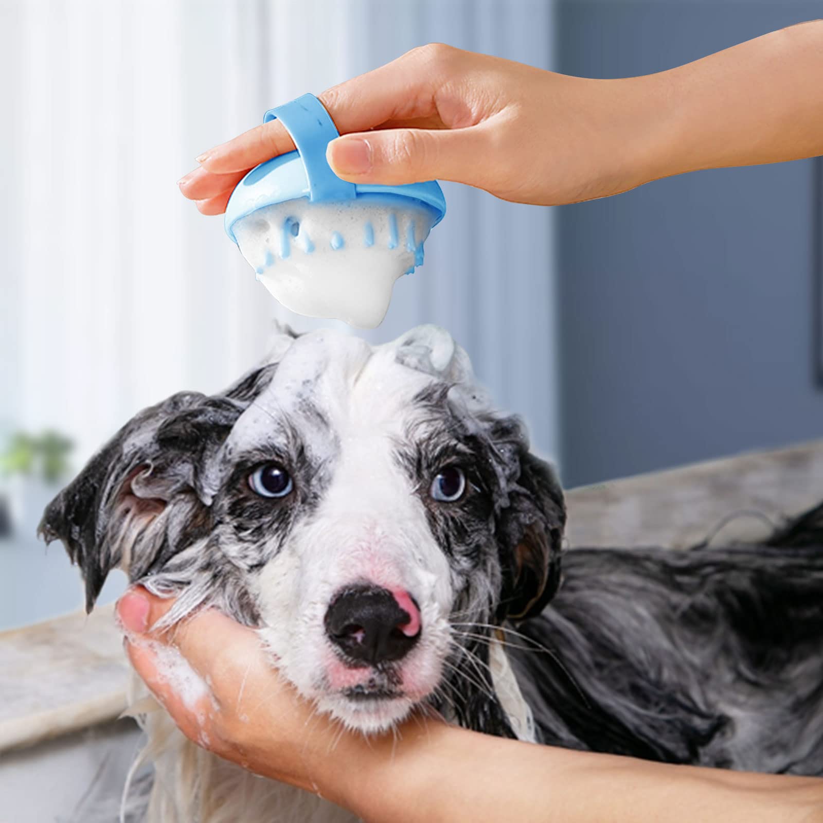 Can You Put Advantage On A Dog After A Bath