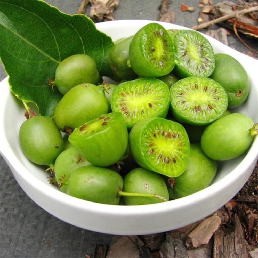 Amazon.com : QAUZUY GARDEN 10 Seeds Hardy Kiwi Vine Seeds Southern Mini Kiwi Berry Seeds ...