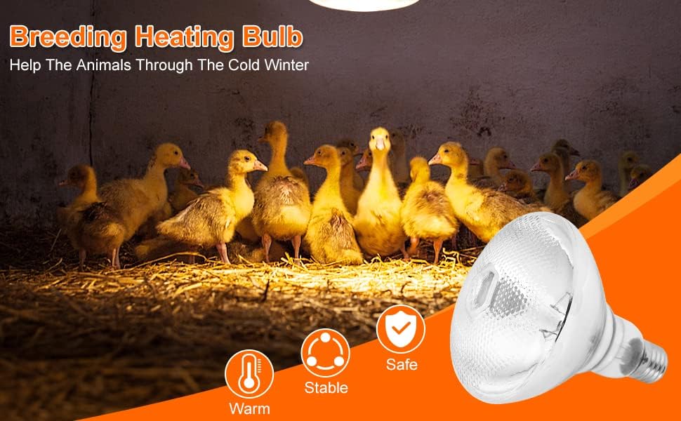 1Pc Pig Piglet Thick Heat Lamp Clear Hard Glass Explosion Proof ...