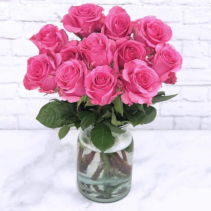 Amazon.com : Falcon Farms Inc Pink Roses : Fresh Cut Format Rose ...