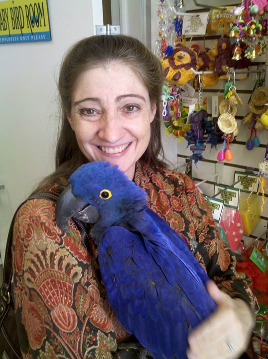 Amazon.co.uk: Dawn Ryder: books, biography, latest update