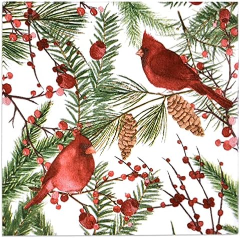 Amazon.com: 20-ct 13x13 Christmas Napkins for Decoupage Snowman Napkins ...
