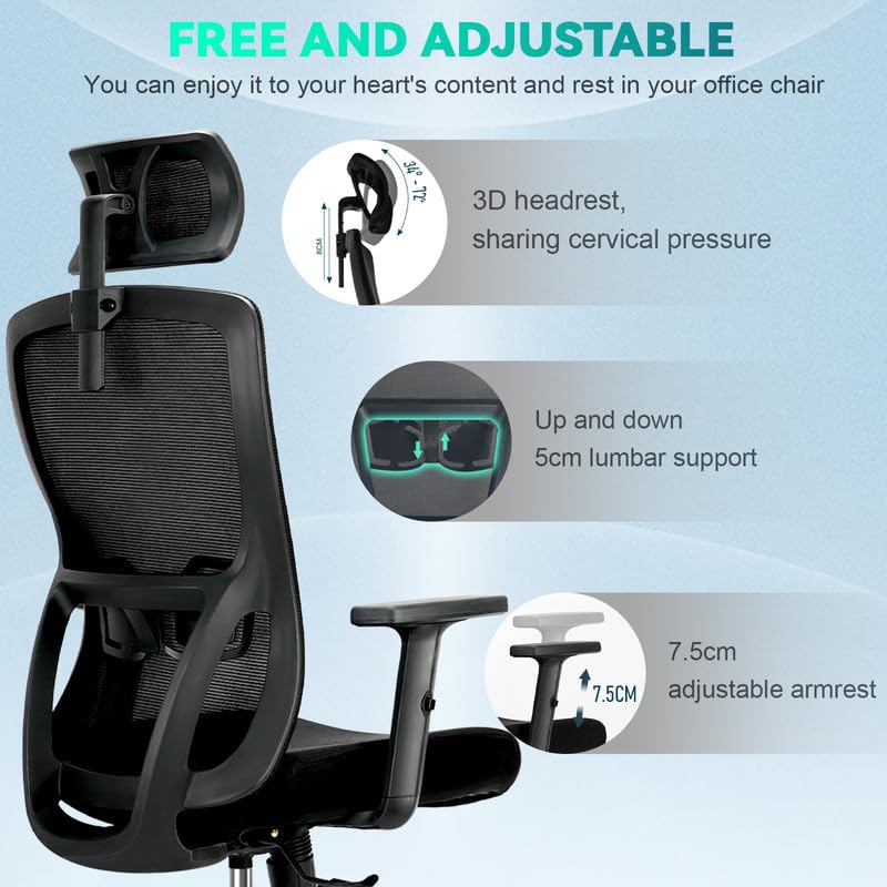Extended Height Ergonomic Office Chair
